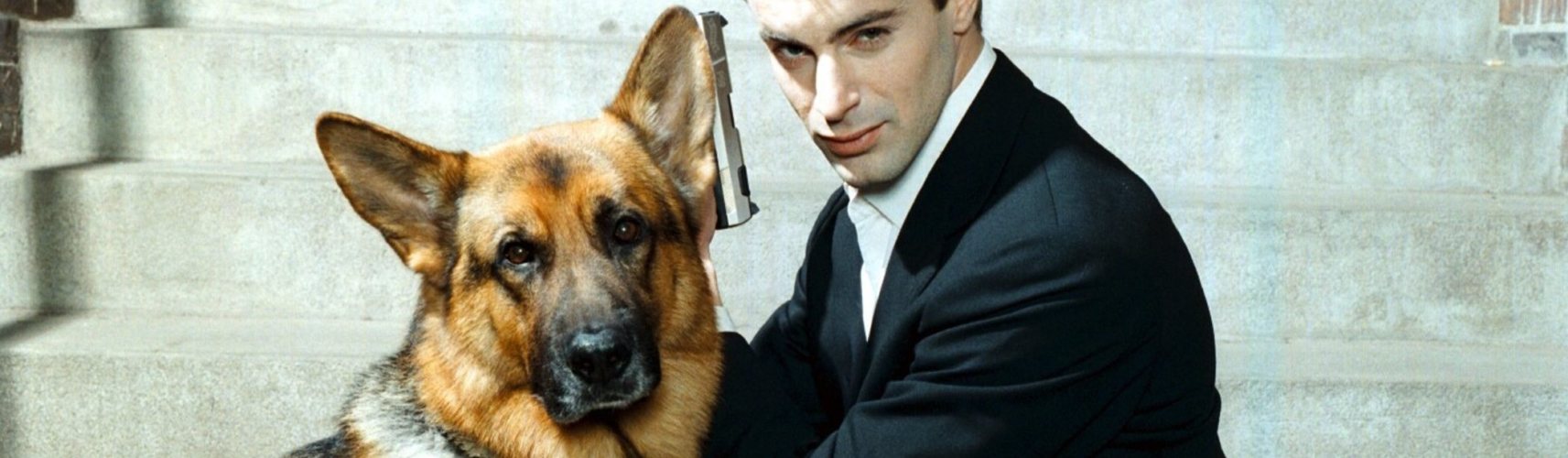 5 datos curiosos sobre el perro más famoso de la tele: "Rex el perro ...
